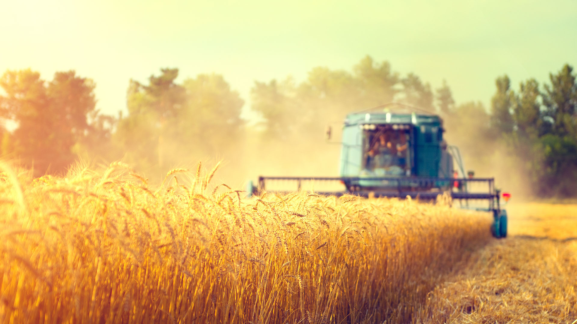 Agri Commodities Bureau Veritas India Agri Commodities Bureau Veritas India
